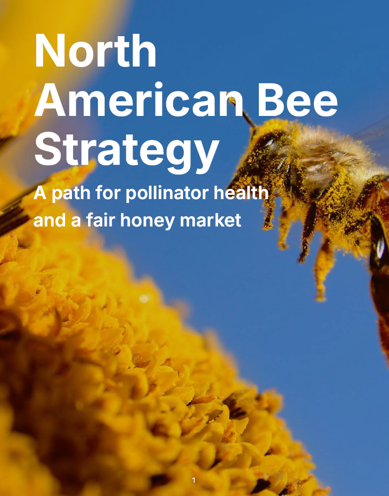 North American Bee Strategy Unveiled to Protect Pollinators and ...